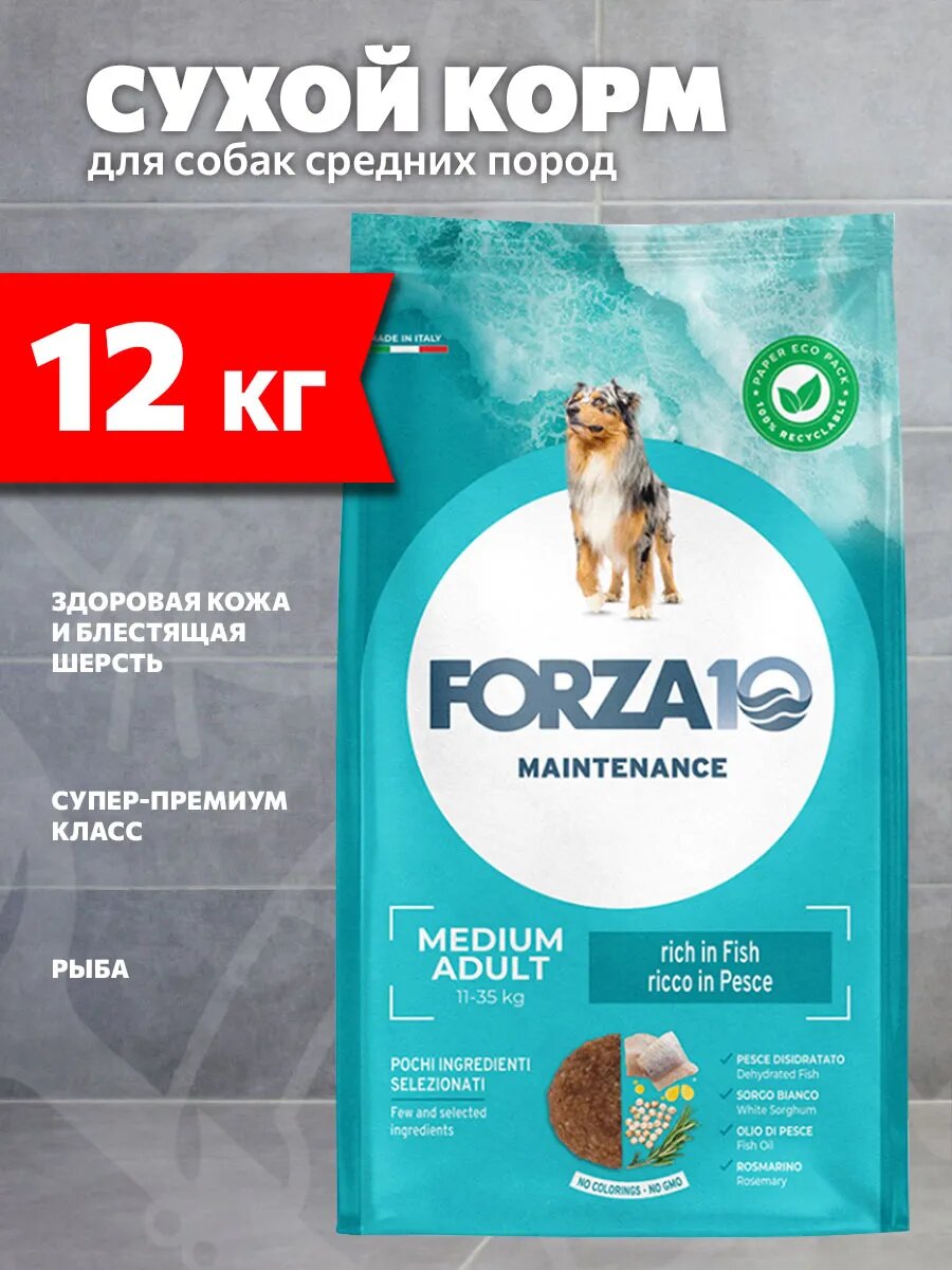 Корм сухой Forza10 Dog Maintenance Adult Medium для взрослых собак средних пород с рыбой, 12 кг