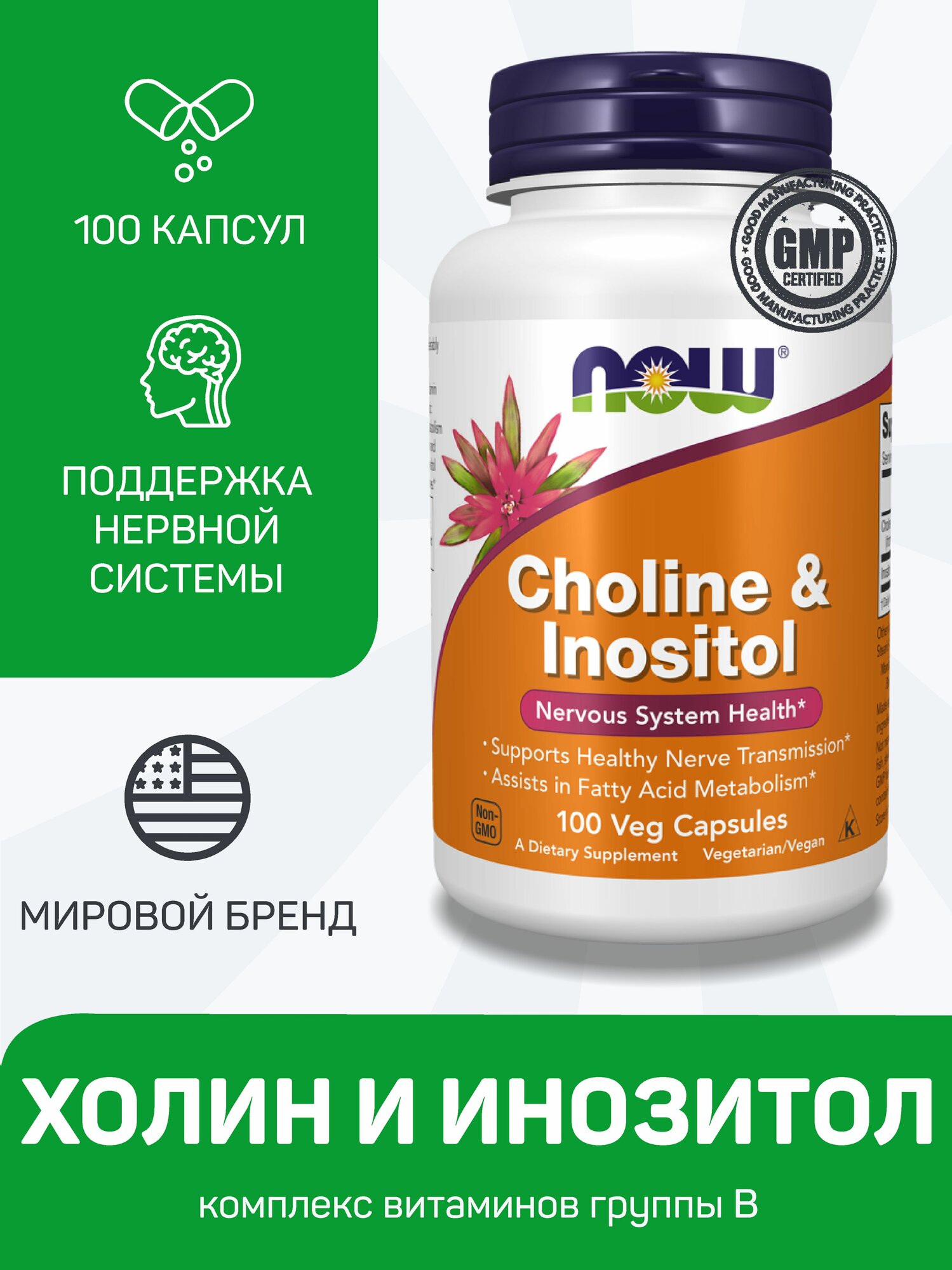 NOW Choline & Inositol / НАУ холин & инозитол (защита печени и клеток мозга), 100 капсул