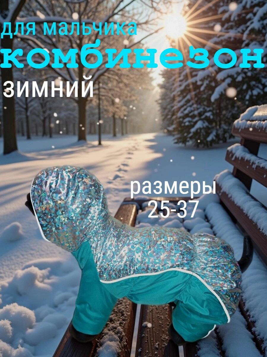 Комбинезон для собак. Мальчик. Размер 28. Металик