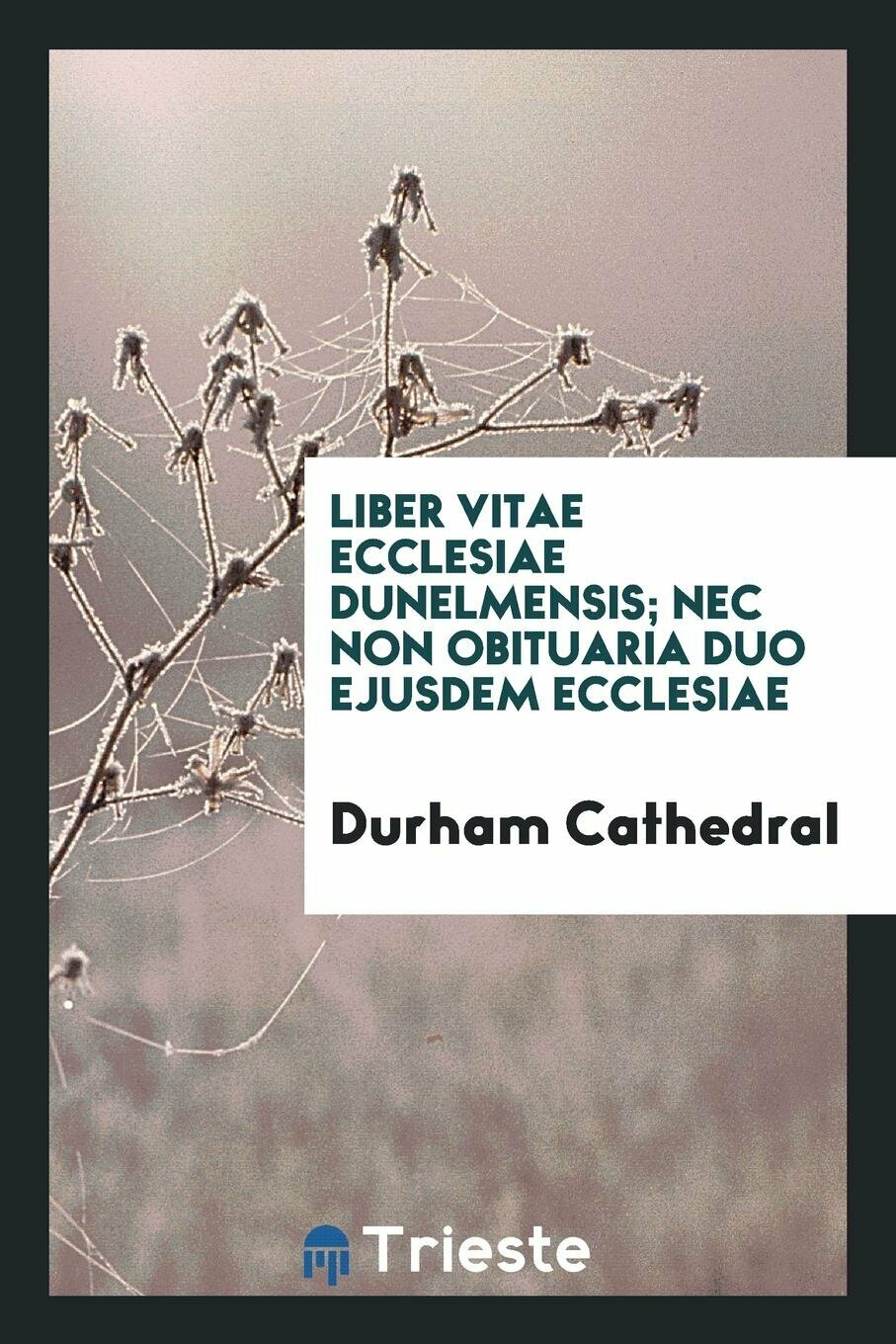 Liber Vitae Ecclesiae Dunelmensis. Nec Non Obituaria Duo Ejusdem Ecclesiae