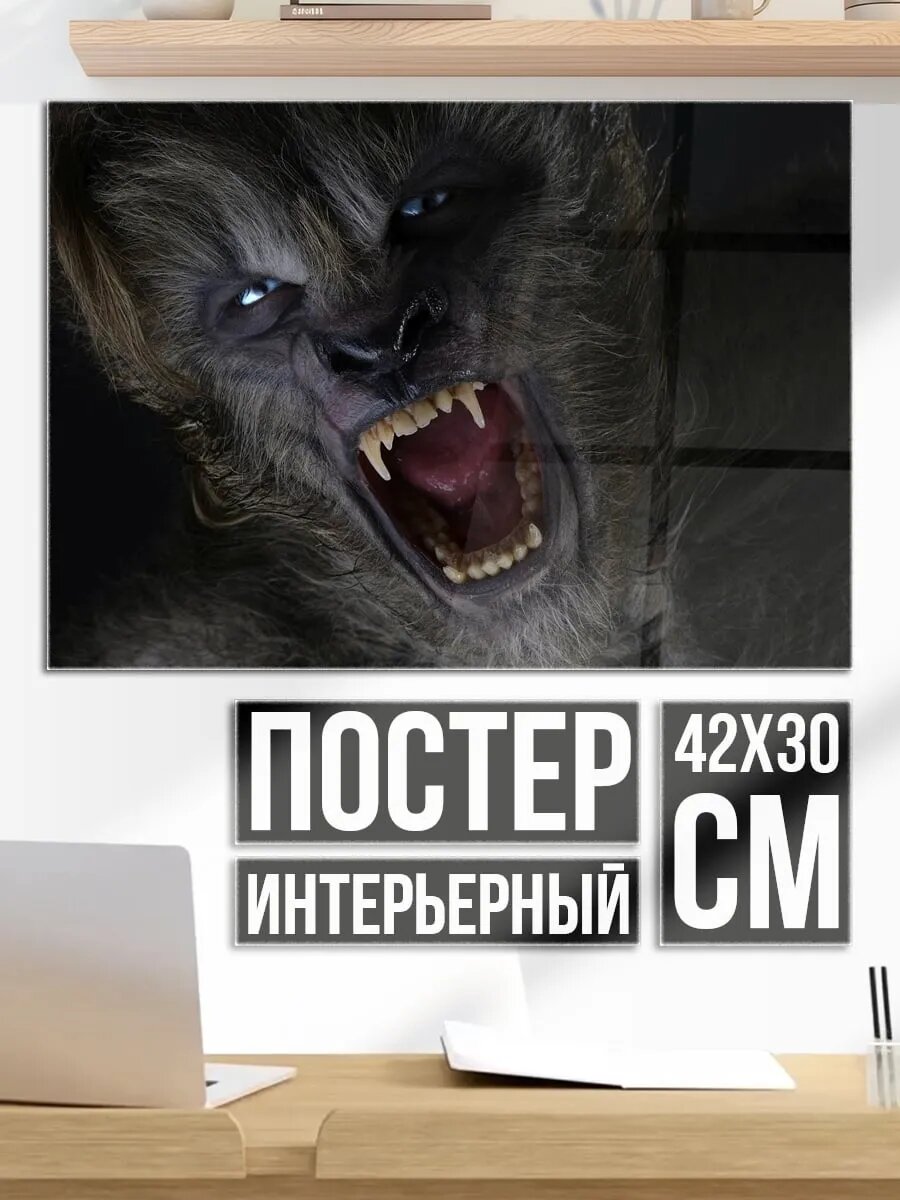 Плакат постер Оскал оборотня