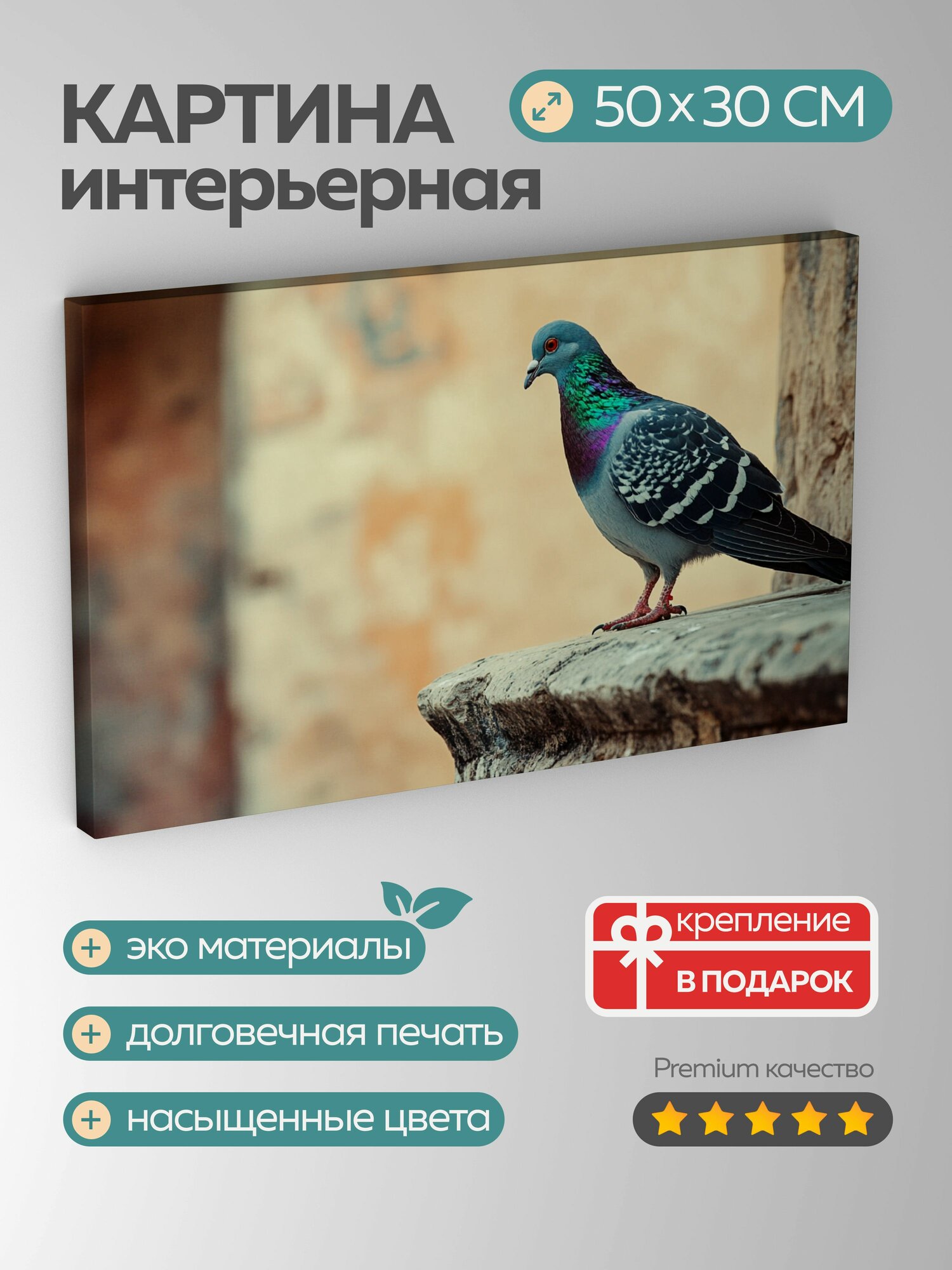 Картина на холсте интерьерная 50х30 см, Голубь, монастырь, свет и тени, оперение, архитектурные детали, история, 2.8L