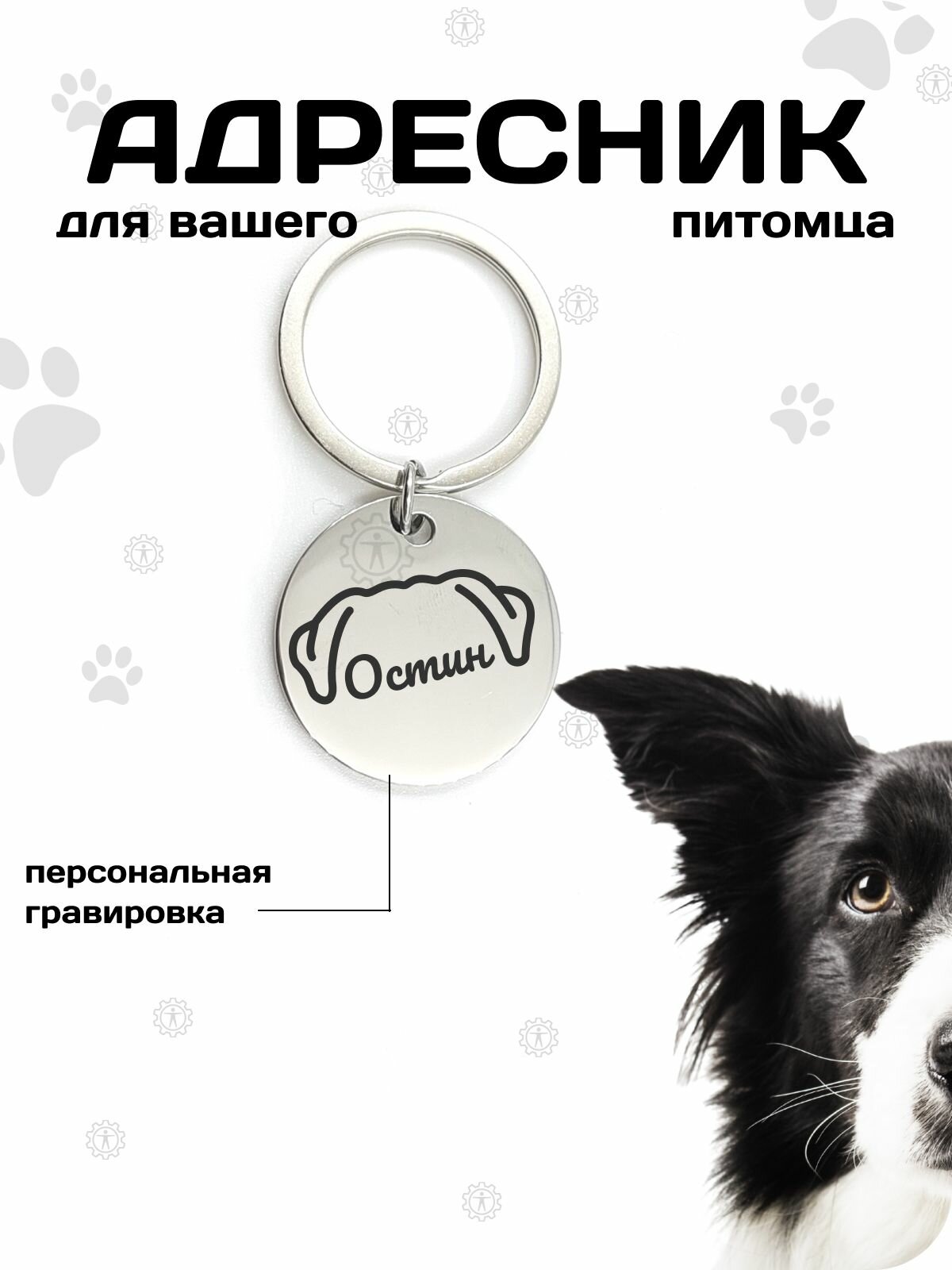 Адресник с гравировкой для собак "Круг", на ошейник, 30 мм x 30 мм