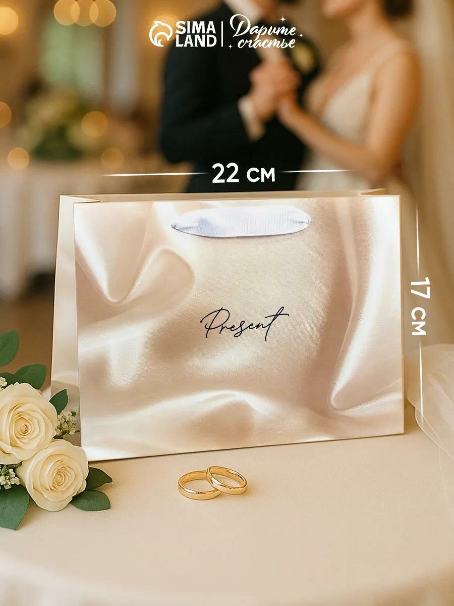 Пакет подарочный «Present», 22 х 17.5 х 8 см, бежевый, для упаковки подарка на Новый Год