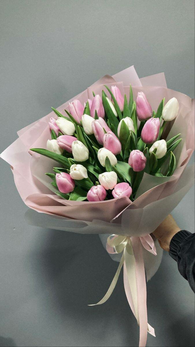 Букет из тюльпанов "Очарование нежности", 25 цветов, бело-розовый