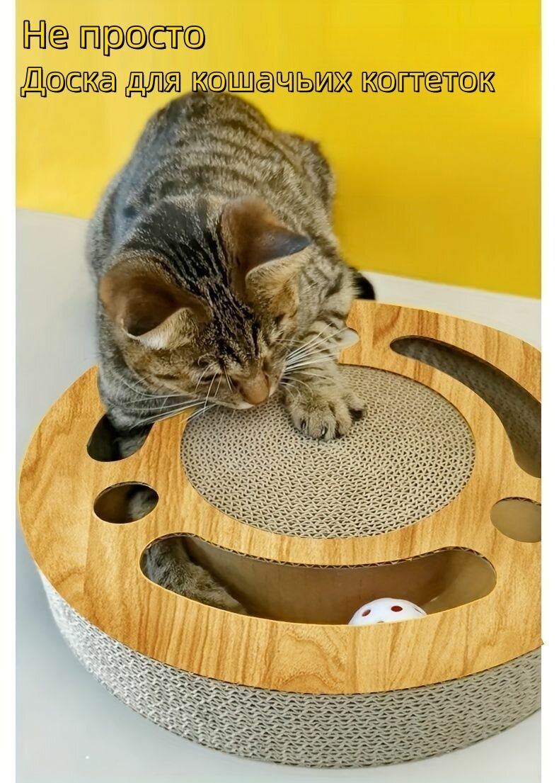 Когтеточка