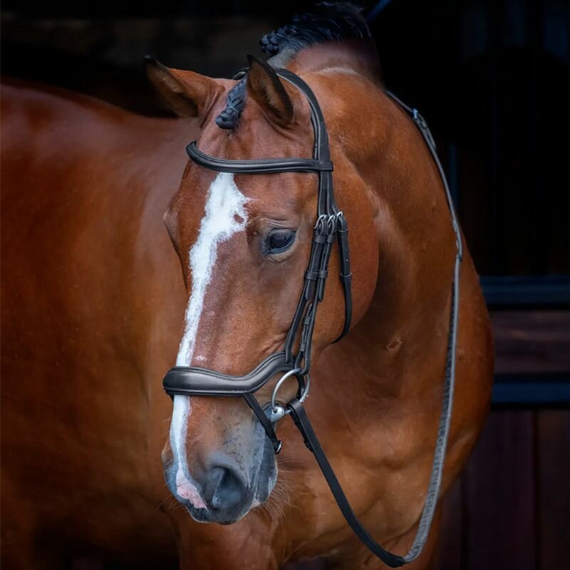 Уздечка для лошади