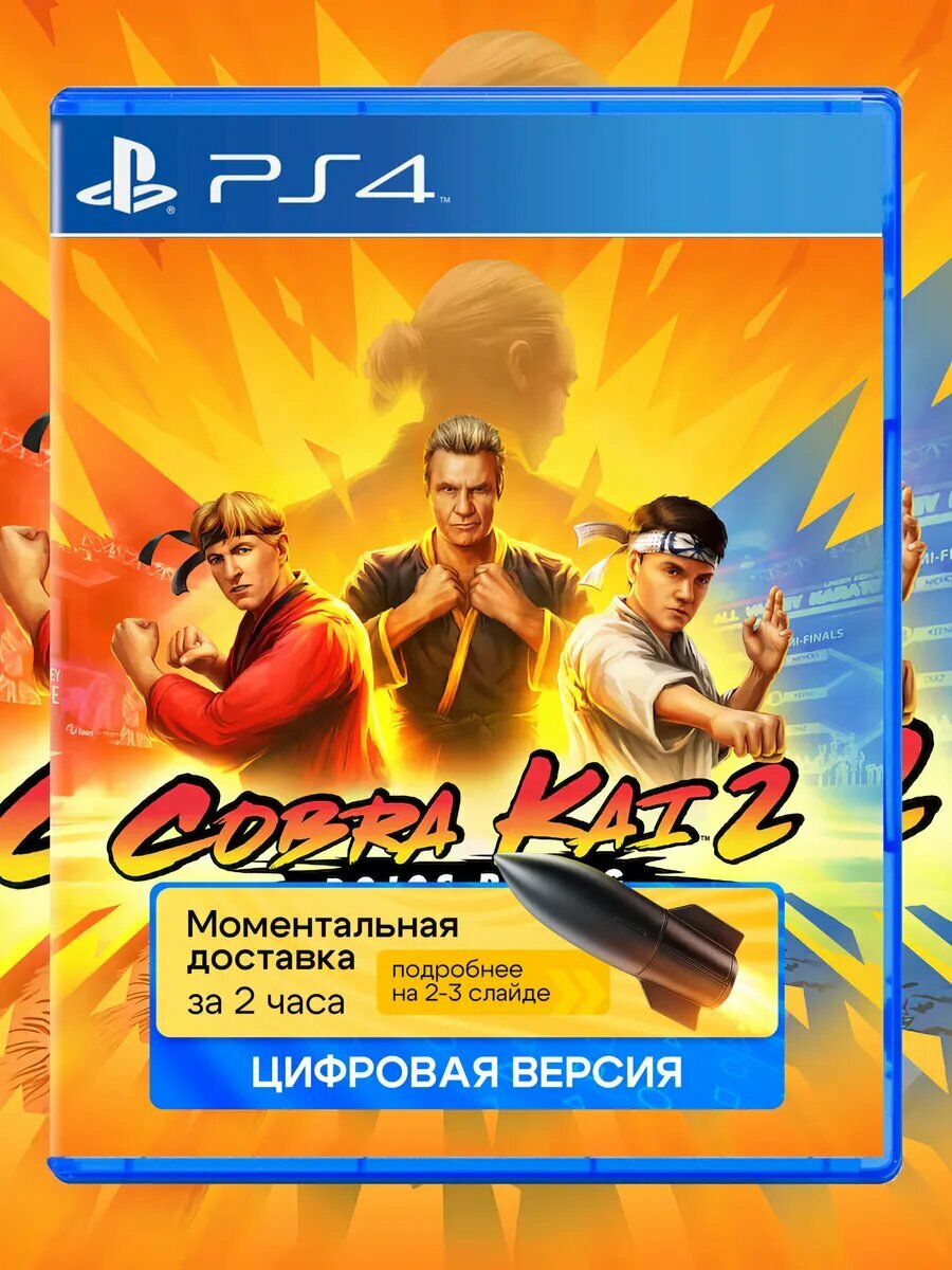 Игра Cobra Kai 2: Dojos Rising для Sony PlayStation PS4 PS5