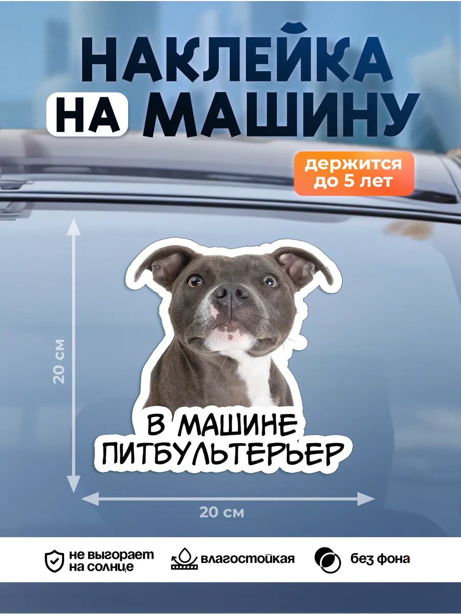 Наклейка ZEKEKS, собака в машине "Питбультерьер", на стекло, глянцевая, 20x20 см