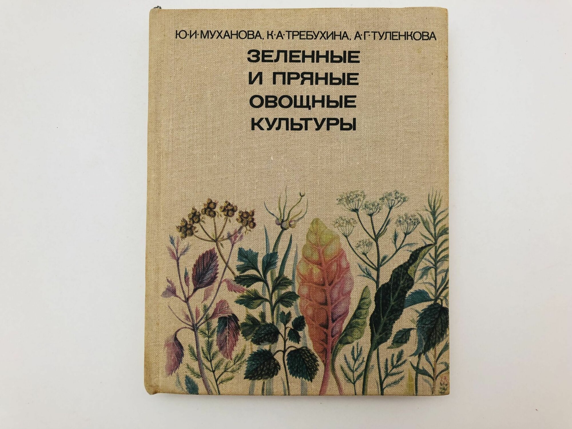 Зеленые и пряные овощные культуры