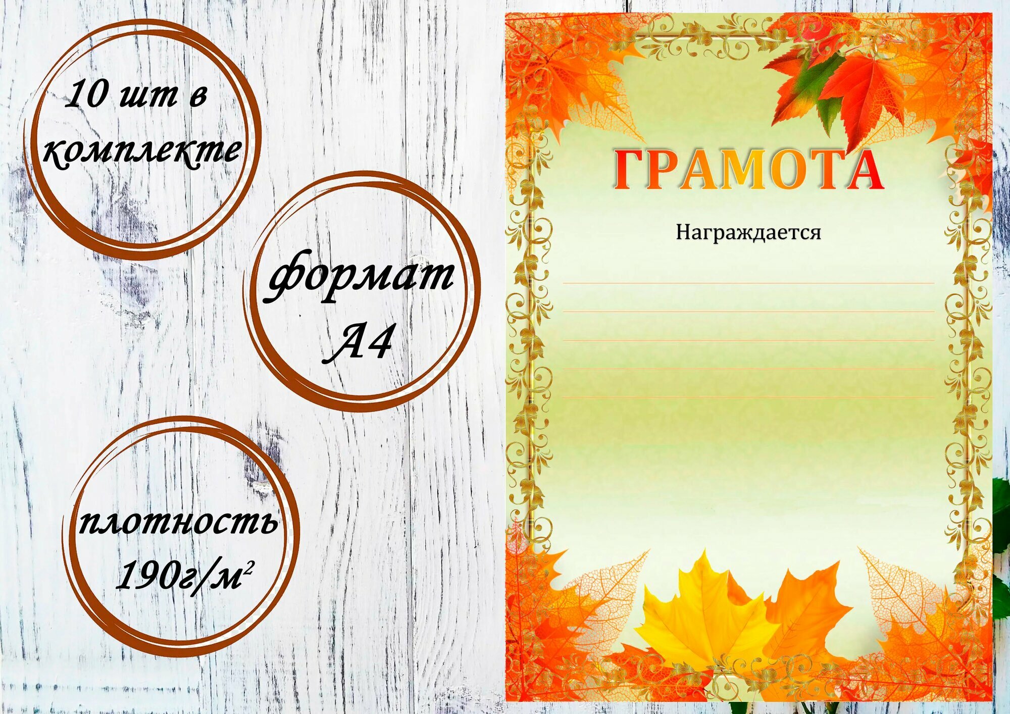 Бланк для грамоты A4 Студенческая (21 29.7 см), листов: 5