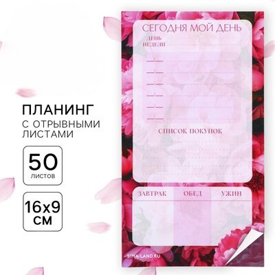 Планер с отрывными листами, 3 шт по 50 листов «Сегодня мой день»