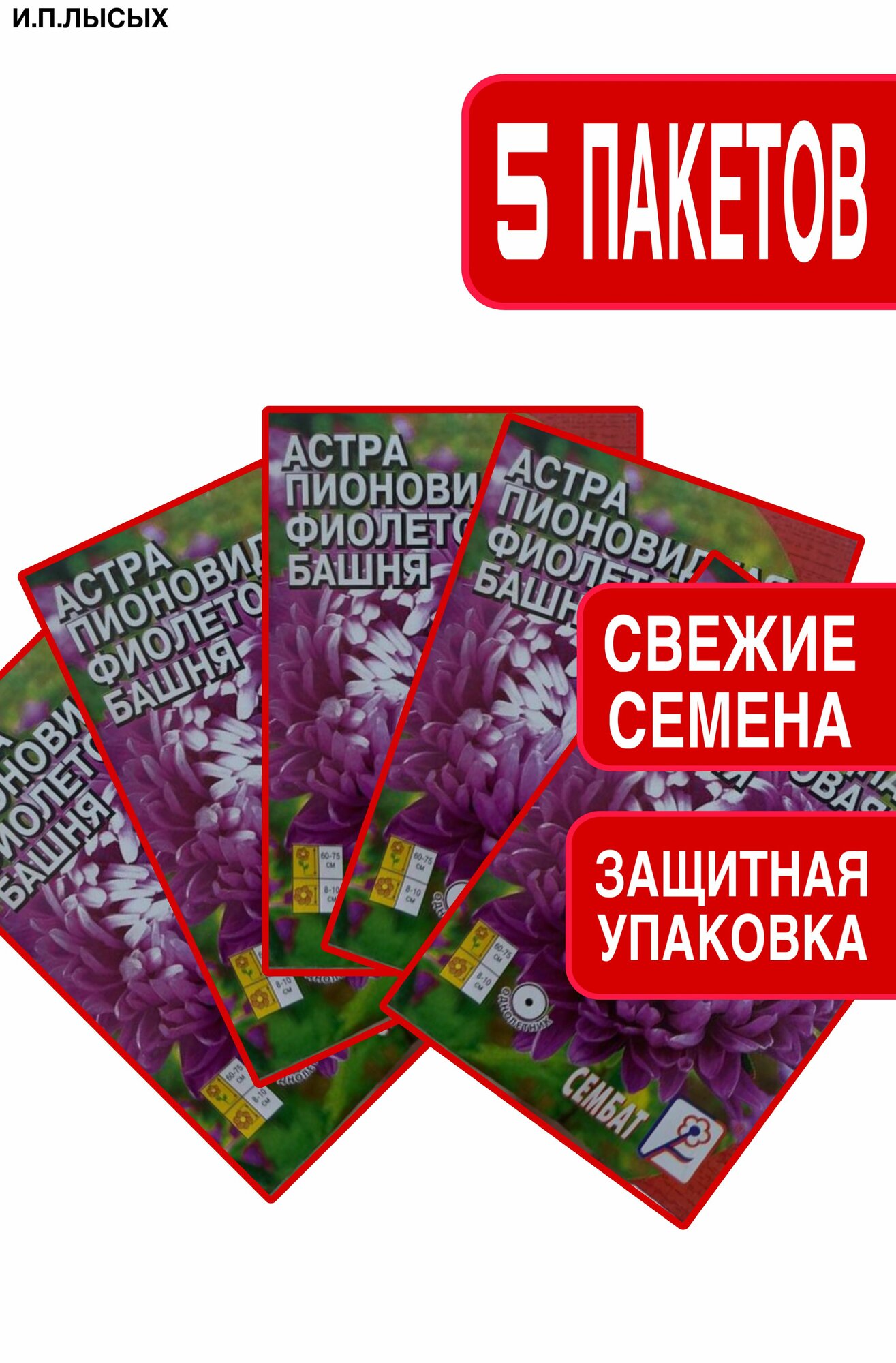 Семена Астра Пионовидная "Фиолетовая Башня"