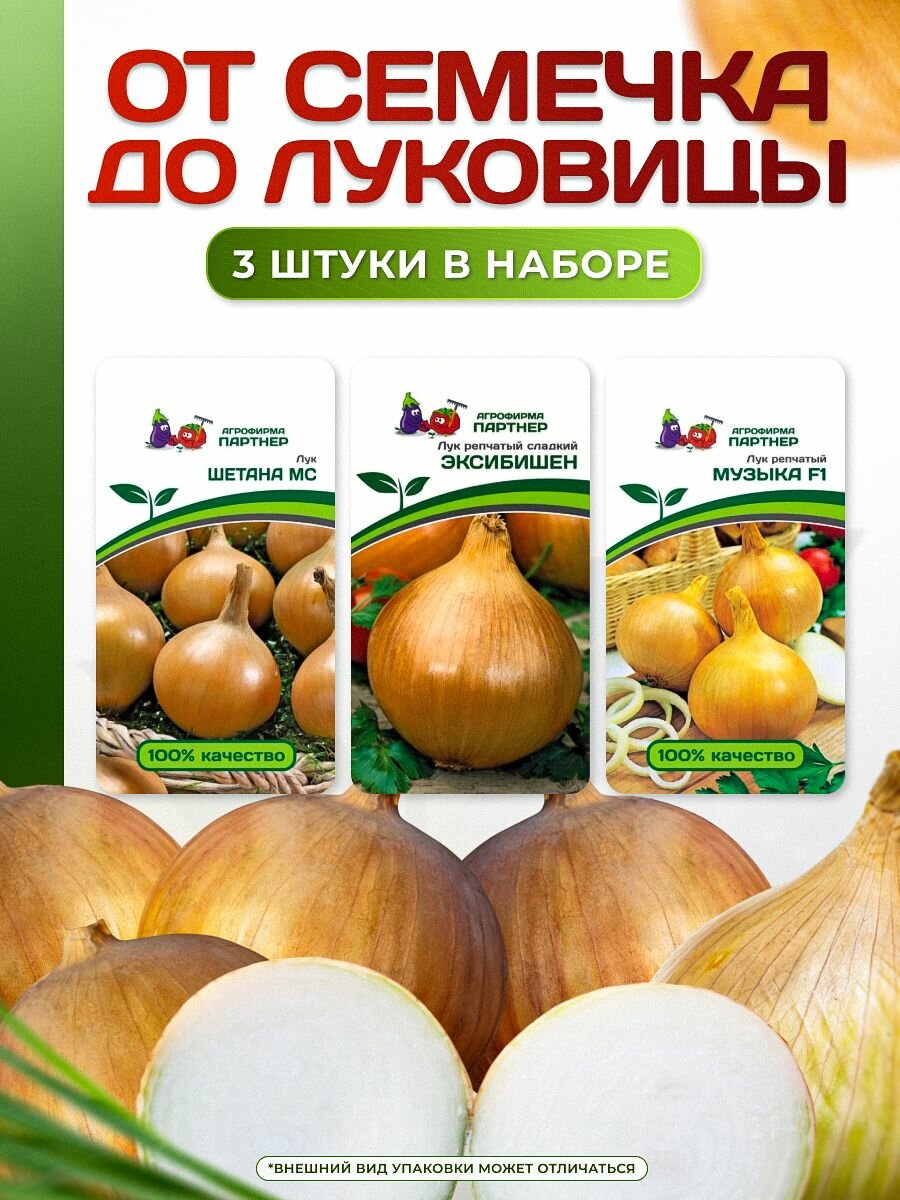 Семена набор: От семечка до луковицы, лук репчатый - Музыка, Шетана, Эксибишен