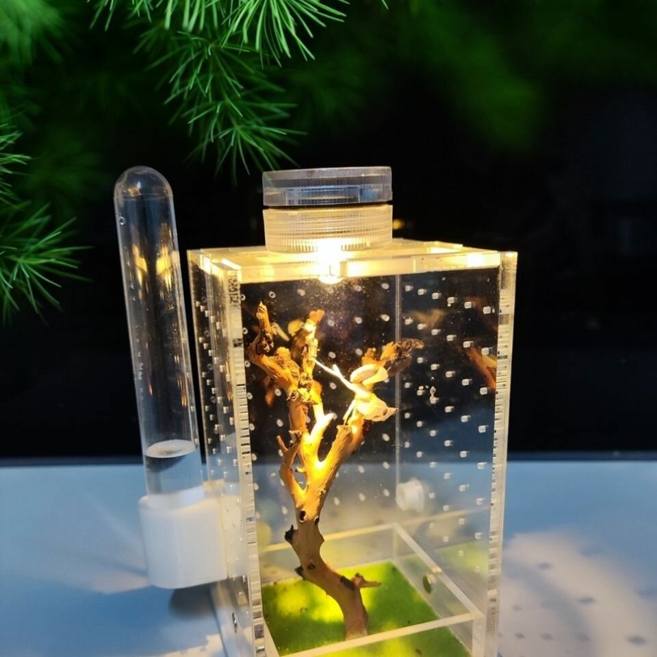 Акриловый ящик для разведения насекомых/ландшафтная вилла богомола