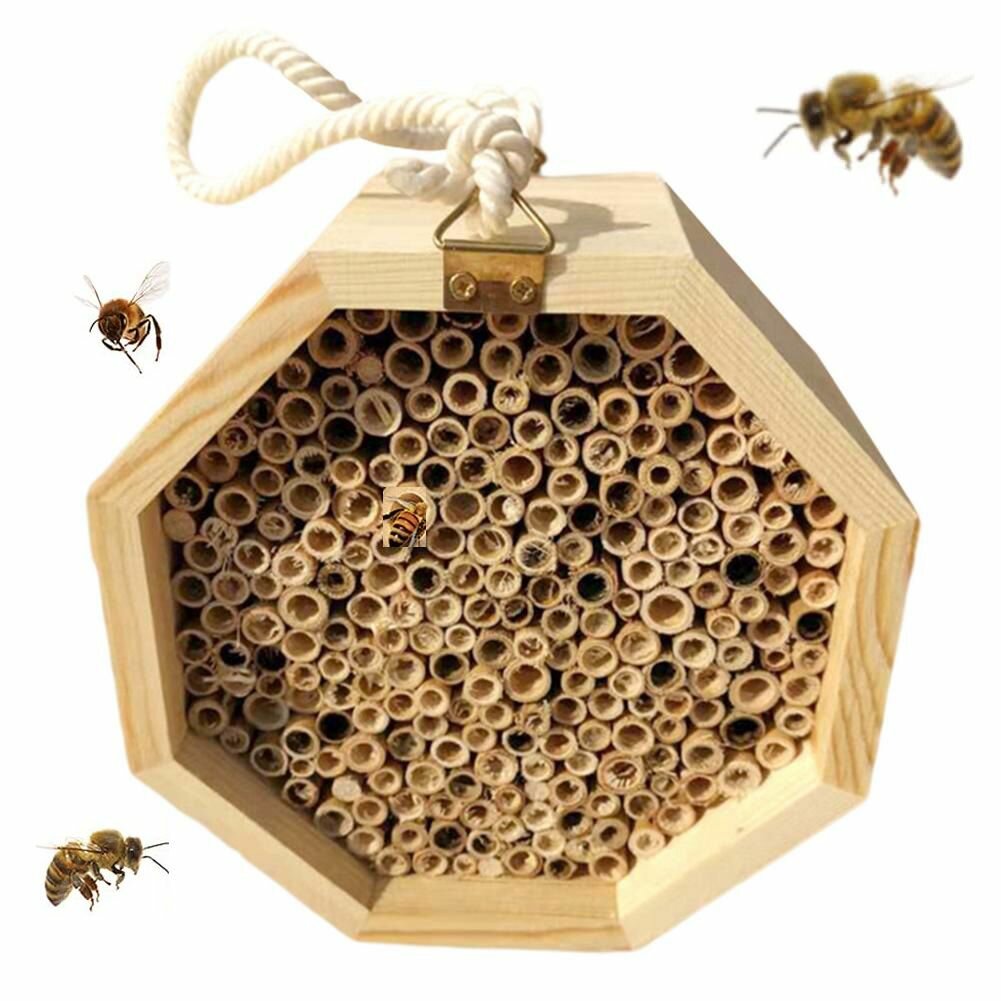 Натуральный Деревянный улей для пчёл