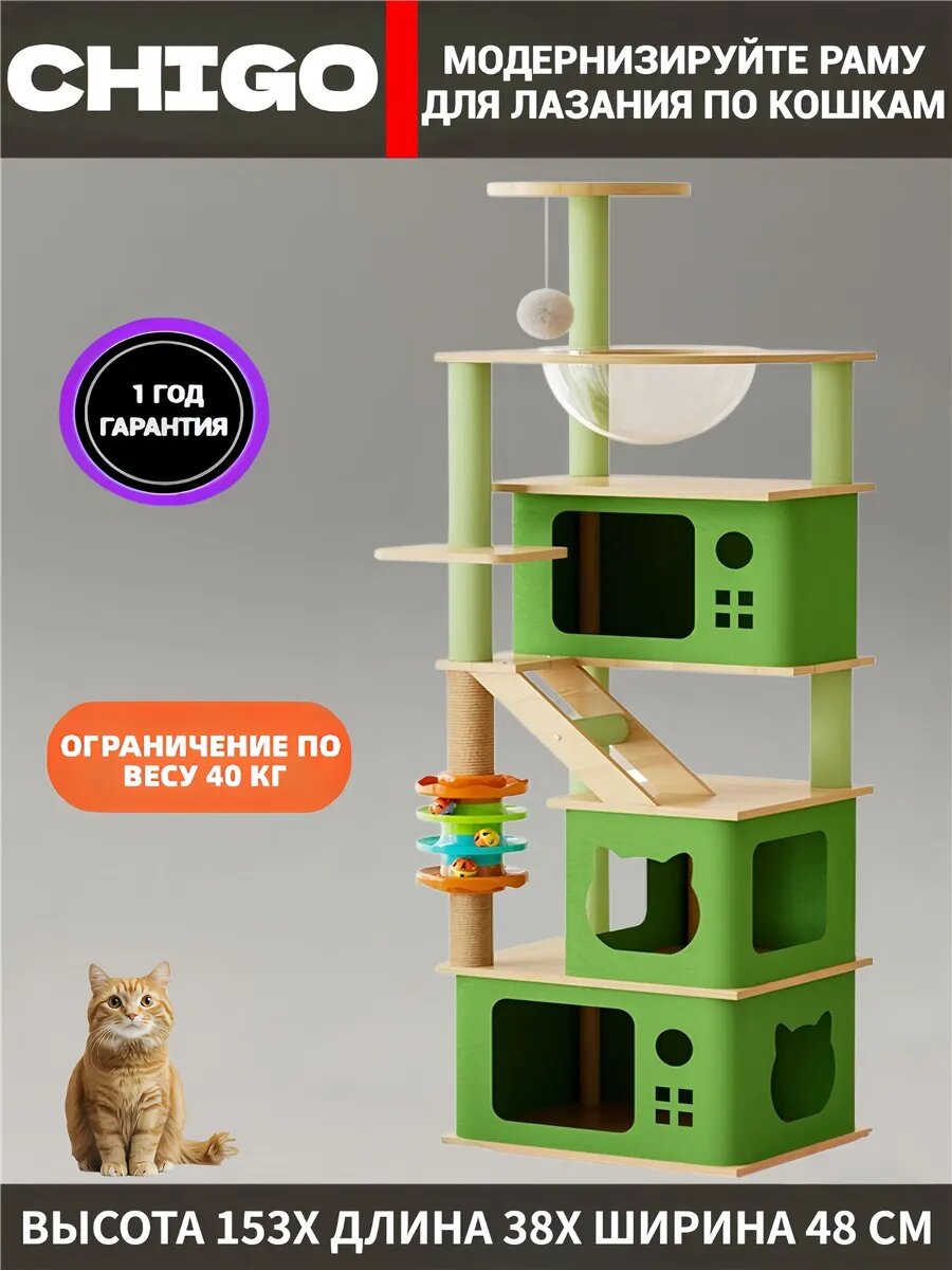 Колонна кошачьих когтей