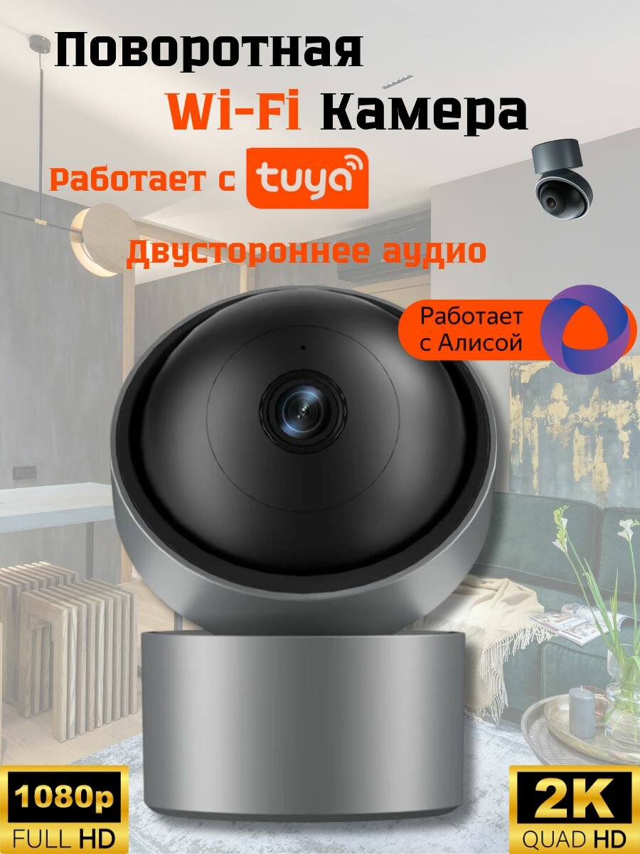 Умная Поворотная IP-Камера Tuya с Алисой 360 Смарт Камера WiFi/ с датчиком движения Графитовая