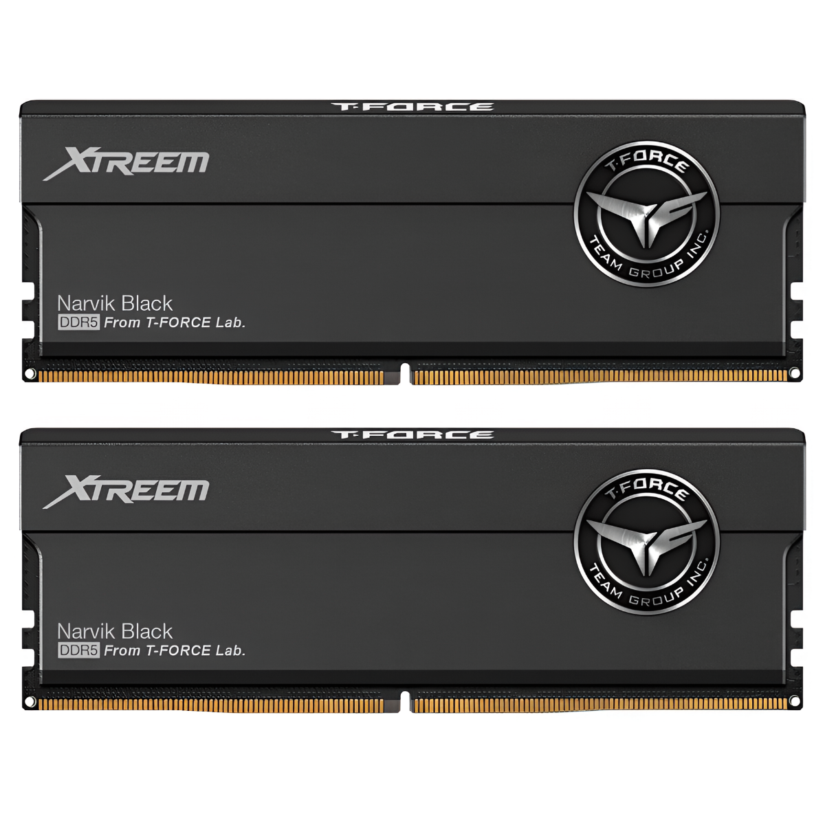 Модуль памяти DDR5 TEAMGROUP T-Force Xtreem 32GB 6400MHz CL32, 1.35V черный