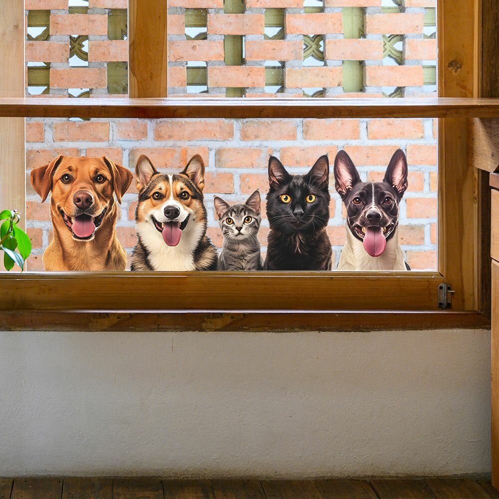 Пленка статическая для окон