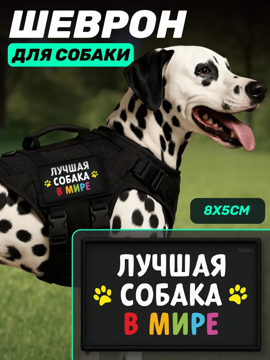 Шеврон на шлейку для собак Лучшая собака в мире