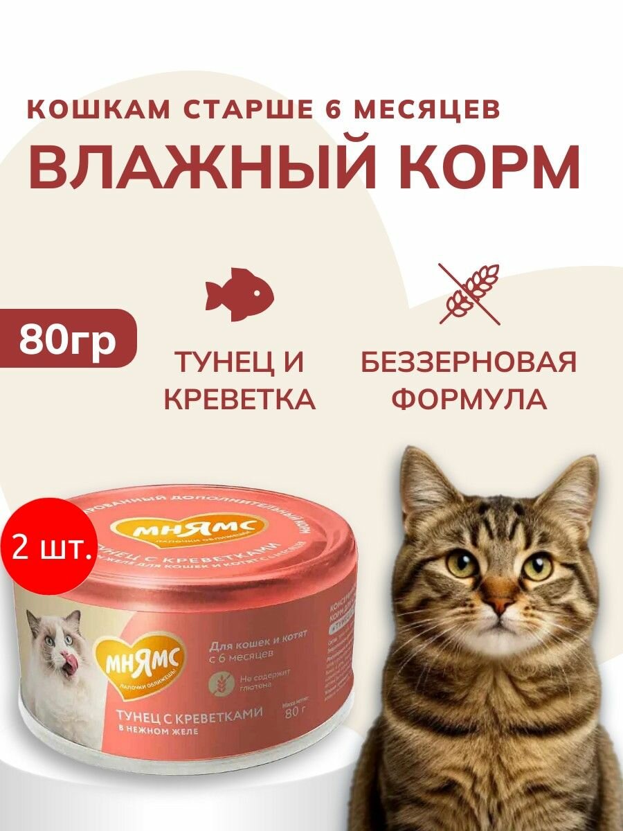 Влажный дополнительный корм Мнямс 160 г (2 упаковки по 80 грамм) Тунец с креветками в нежном желе "На каждый день" для кошек и котят старше 6 месяцев