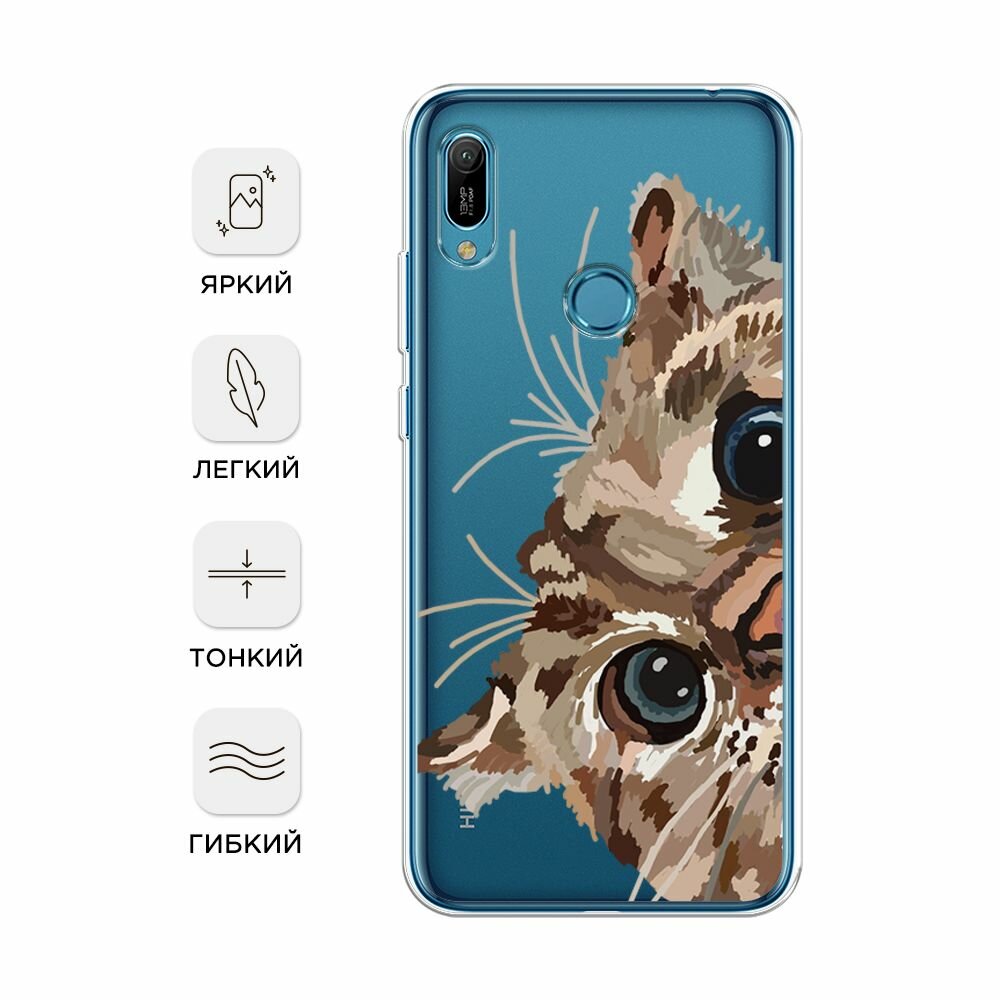Чехол на Honor 8A/8A Pro/Huawei Y6s/Y6 2019 / Хонор 8А с принтом "Любопытный кот", прозрачный — фото 1