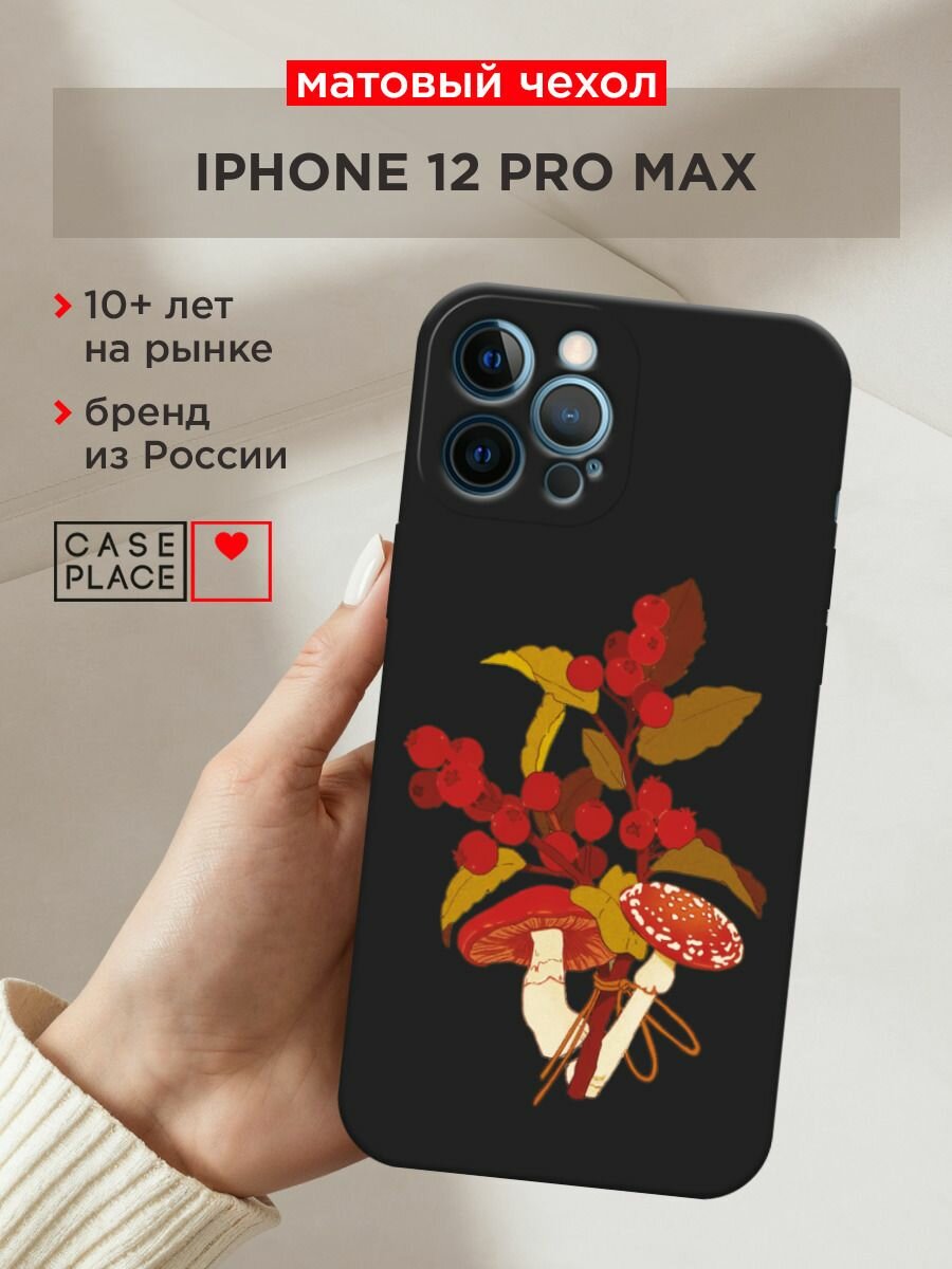 Чехол на Apple iPhone 12 Pro Max / Айфон 12 Про Макс с принтом "Рябина с грибами", прозрачный