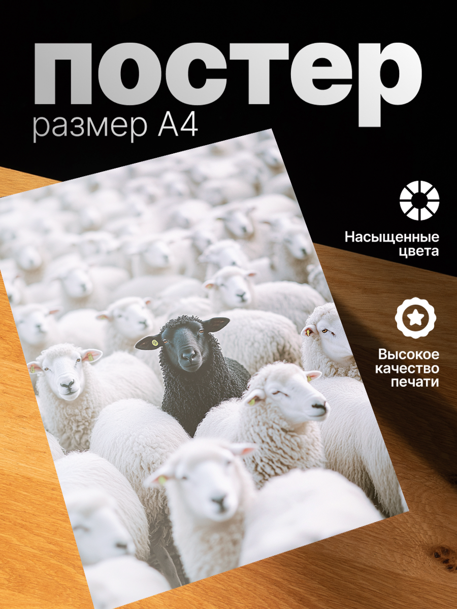 Постер ZEKEKS Стадо Овец, без рамы, 29x21 см, цифровая печать