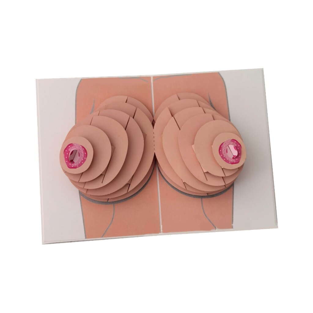 Веселые баклажаны 3D всплывающие карты Неуместные открытки на день рождения открытки на день рождения День Святого Валентина Подарок Смешное приветствие для мужа парня