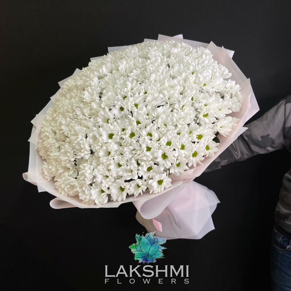 51 хризантема / Букет из 51 белой кустовой хризантемы в авторской упаковке / Кустовые хризантемы