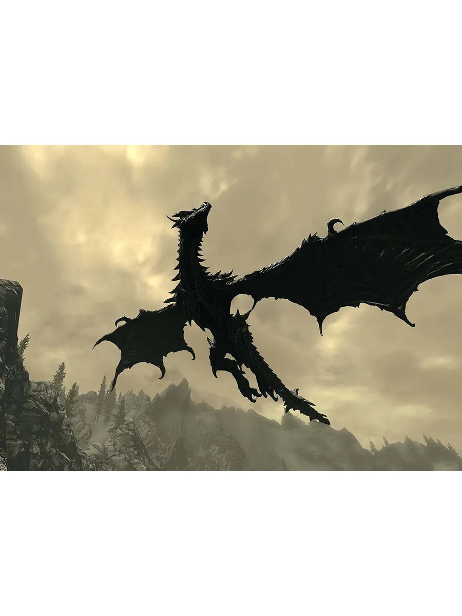 Плакат Skyrim Дракон — фото 1