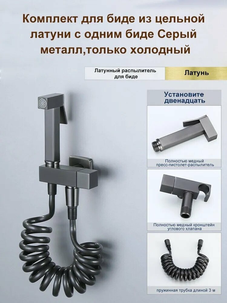 Лейка гигиеническая для биде (кран для холодной воды) RO5501GR3 лейка, 3 M шланг, кран Серый металл, латунь, Площадь