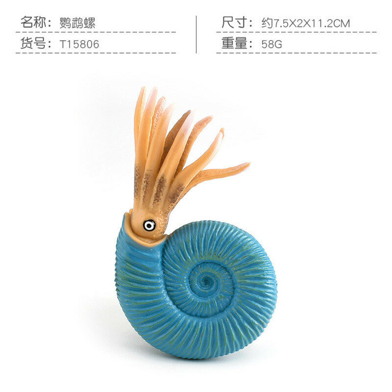 Vibrant pvc marine animal models manta ray green turtle clownfish nautilus and stingray gifts for ocean lovers and kids nautilus