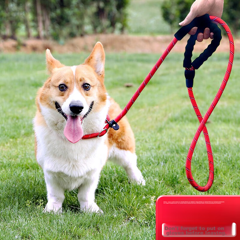 Jiashigao Pet P-Chain XL Size, Dog Leash, Dog Rope, Dog Chain Collar, Medium-Sized Dog, Outdoor Walking, Training Dog Leash