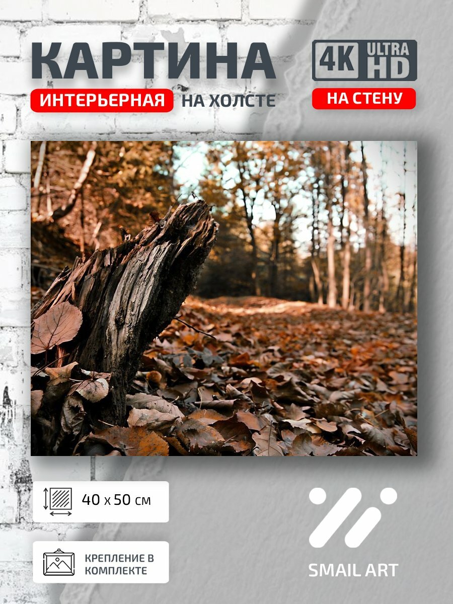 Картина на холсте интерьерная 40 на 50 на стену Лесу Landscape для кабинета пейзаж интерьер