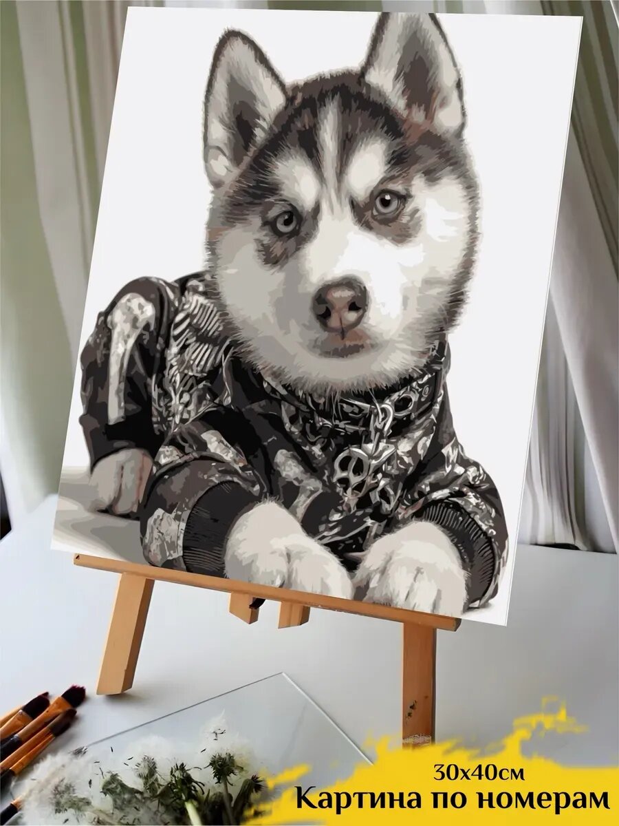 Картина по номерам хаски щенок