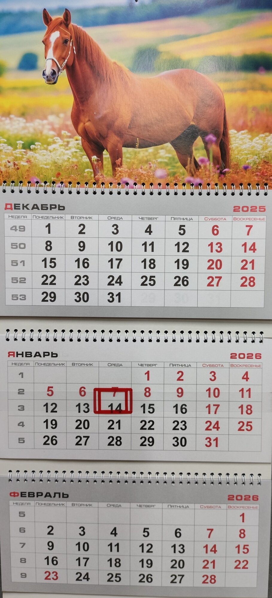 Квартальный календарь трио Символ года 2026 г. - "Лошадь на лугу"