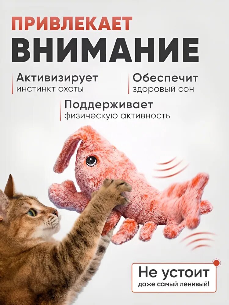 Игрушки для кошек и собак интерактивный лобстер