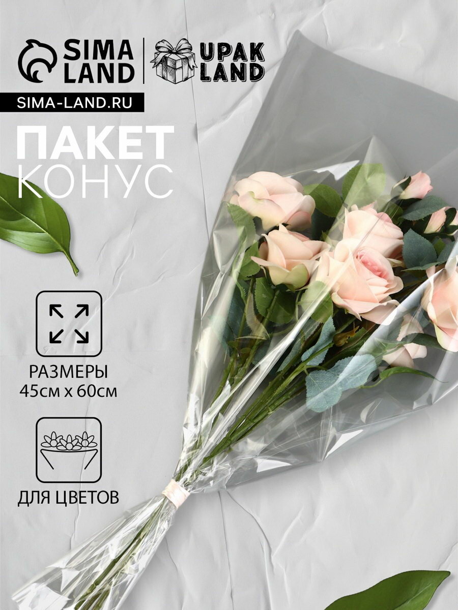 Пакет для цветов, конус, 12+45x60 см, прозрачный, вид: конусы, 50 шт.