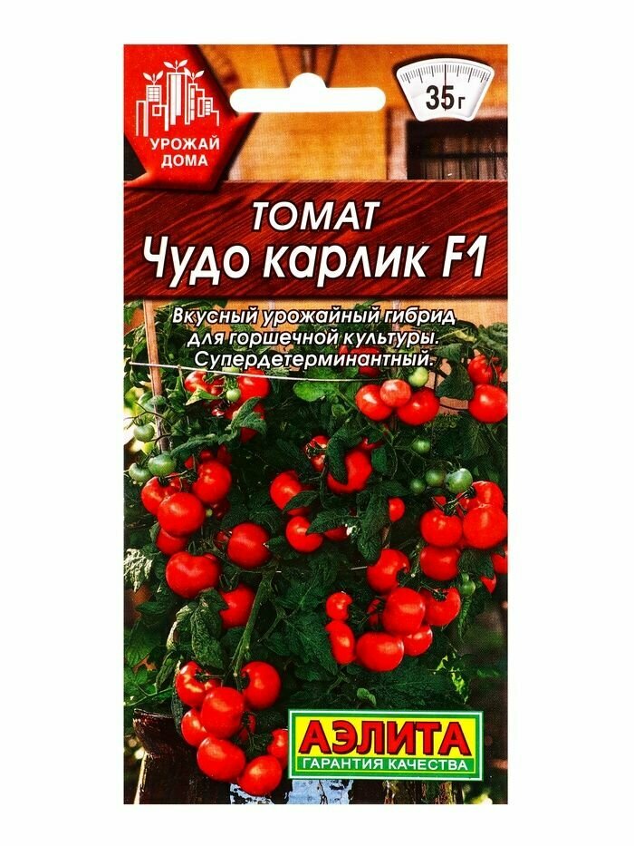 Семена томат Чудо карлик F1 балконный . Урожай дома - Агрофирма аэлита