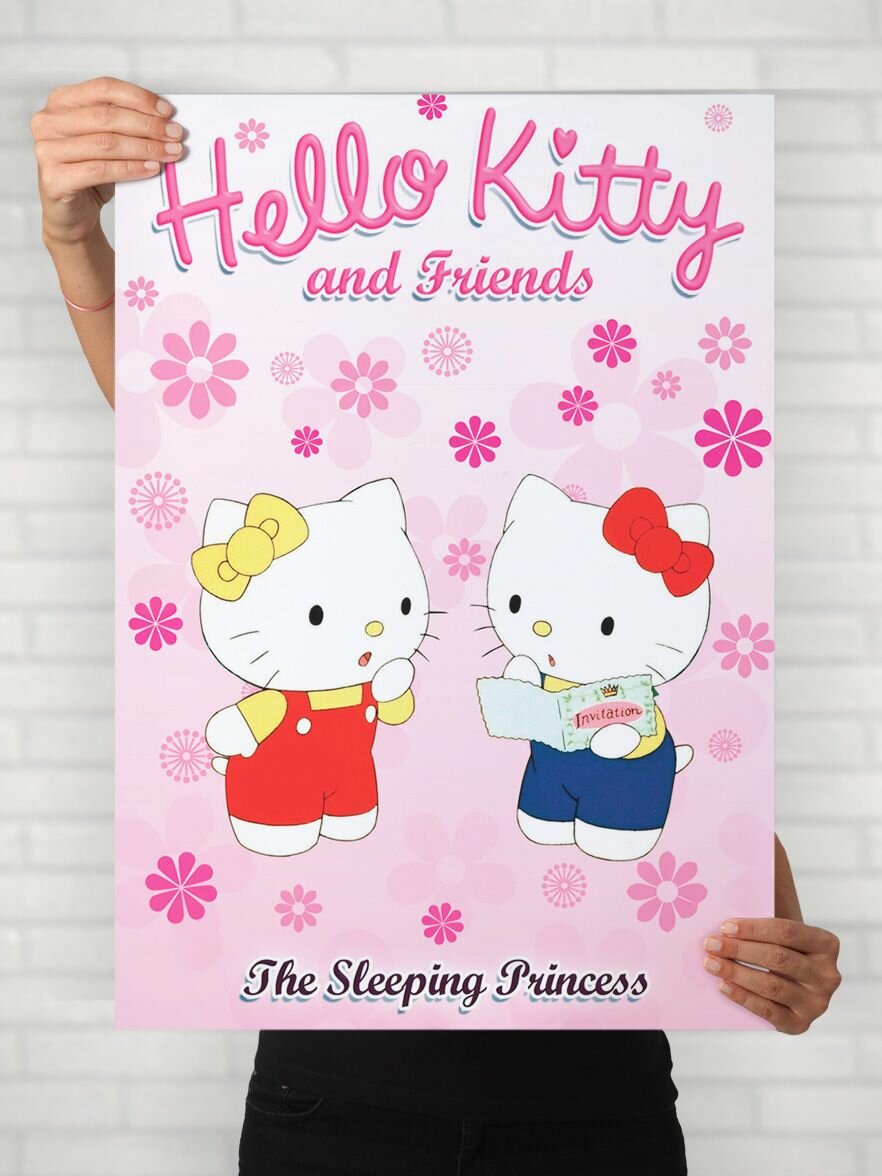 Плакат на стену для интерьера Персонажи Санрио (Sanrio 2) - Постер по милым героям формата A2 (42x61 см)