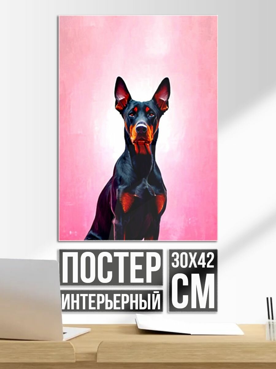Постер на стену Доберман на розовом