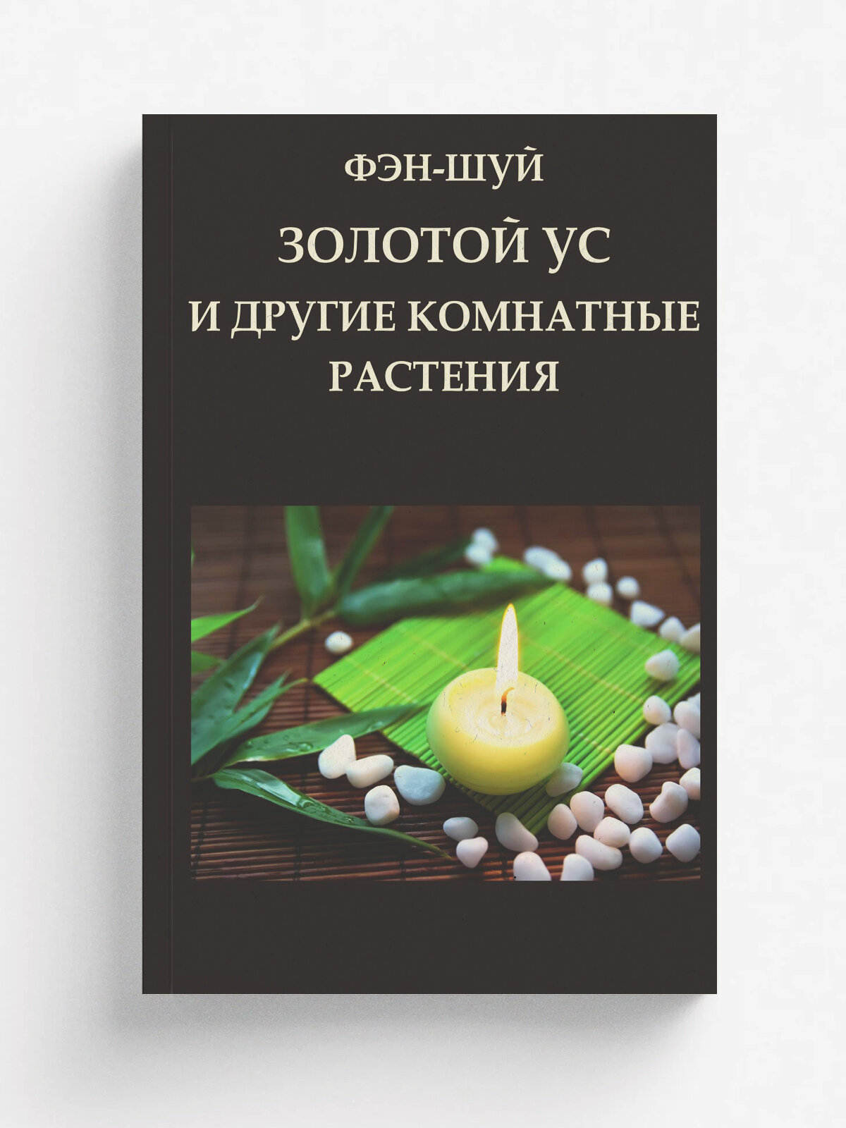 Фэн-шуй, золотой ус и другие комнатные растения