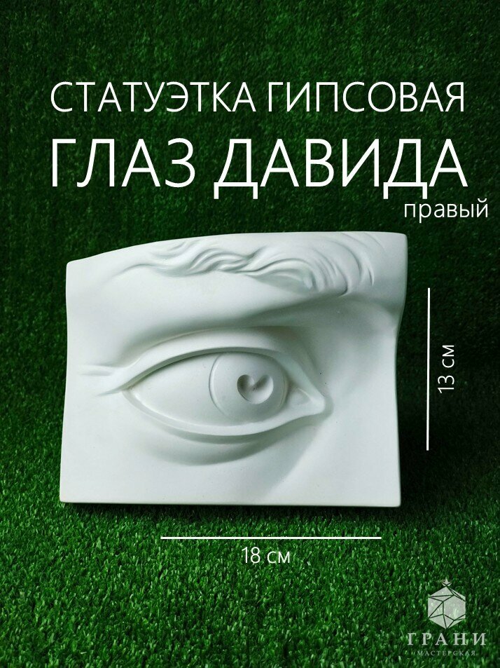 Гипсовая статуэтка "Глаз Давида правый", 13х18, учебное пособие для художников, подарок художнику, Мастерская "грани"