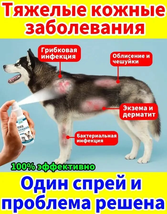 Спрей от стригущего лишая для кошек и собак , 100 мл, для ухода за кожей домашних животных, наружное применение