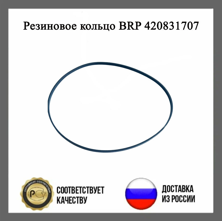 Резиновое кольцо BRP 420831707