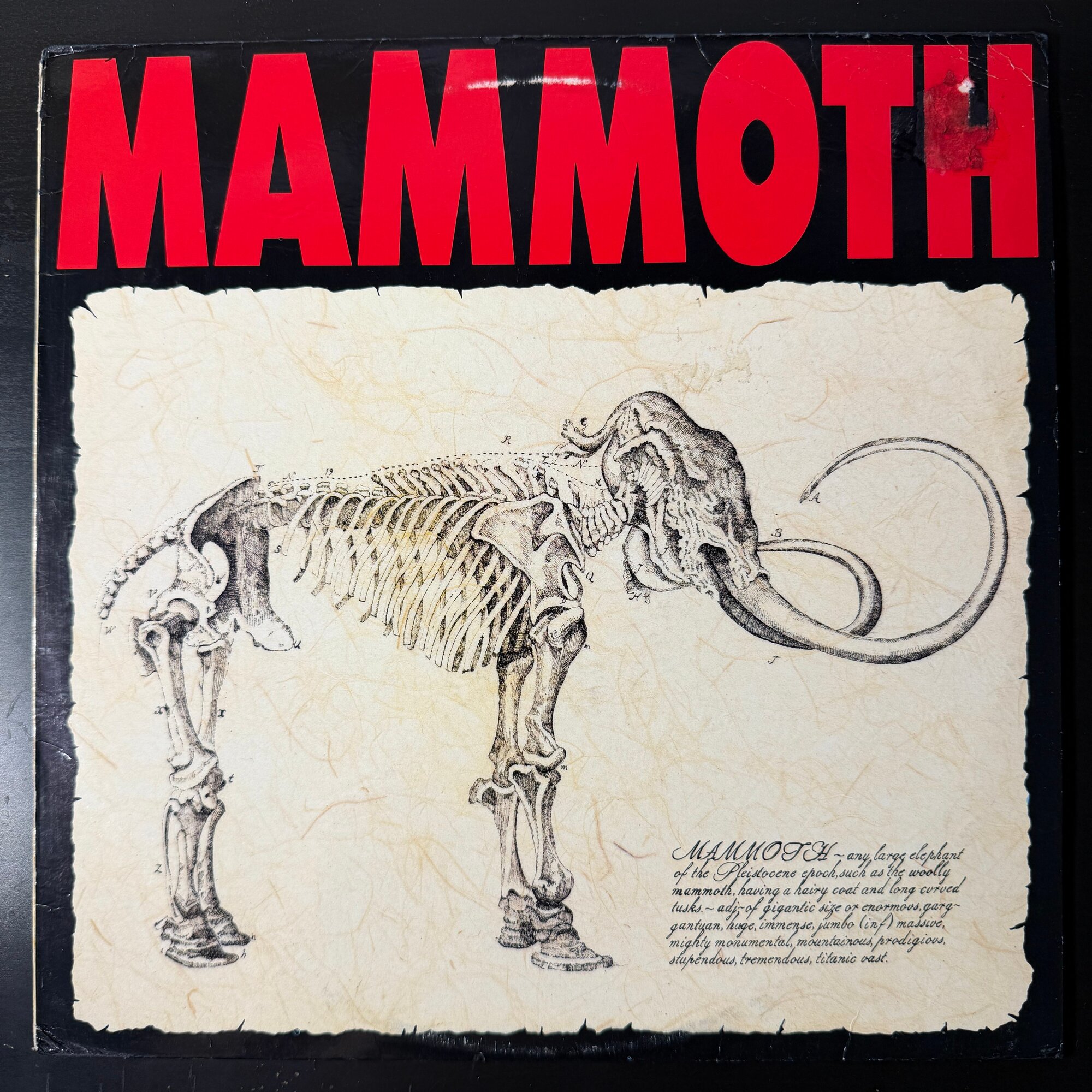 Виниловая пластинка Mammoth Mammoth (Англия 1989г.)