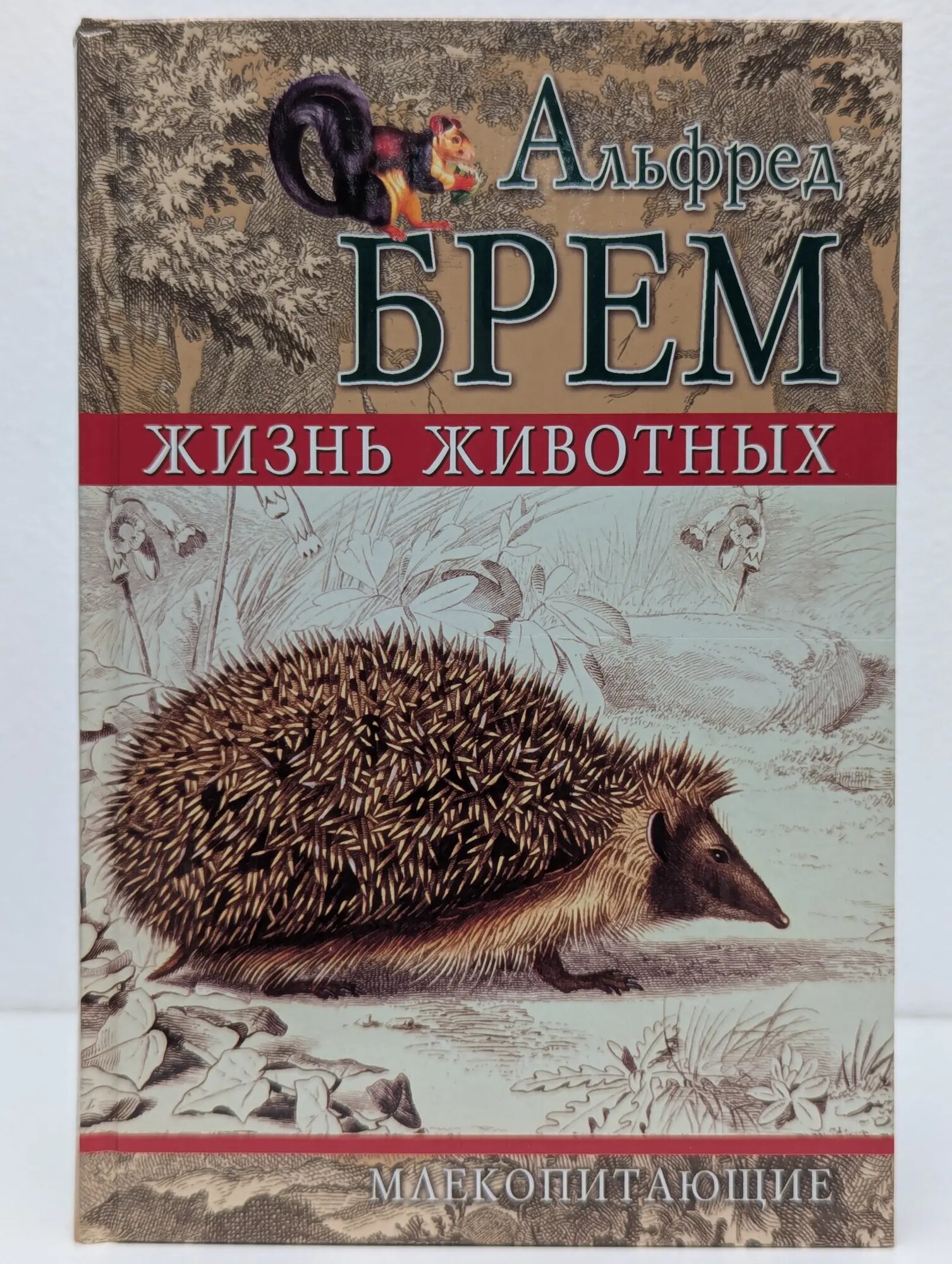 Жизнь животных. Том 4. Млекопитающие Брем Альфред 2008