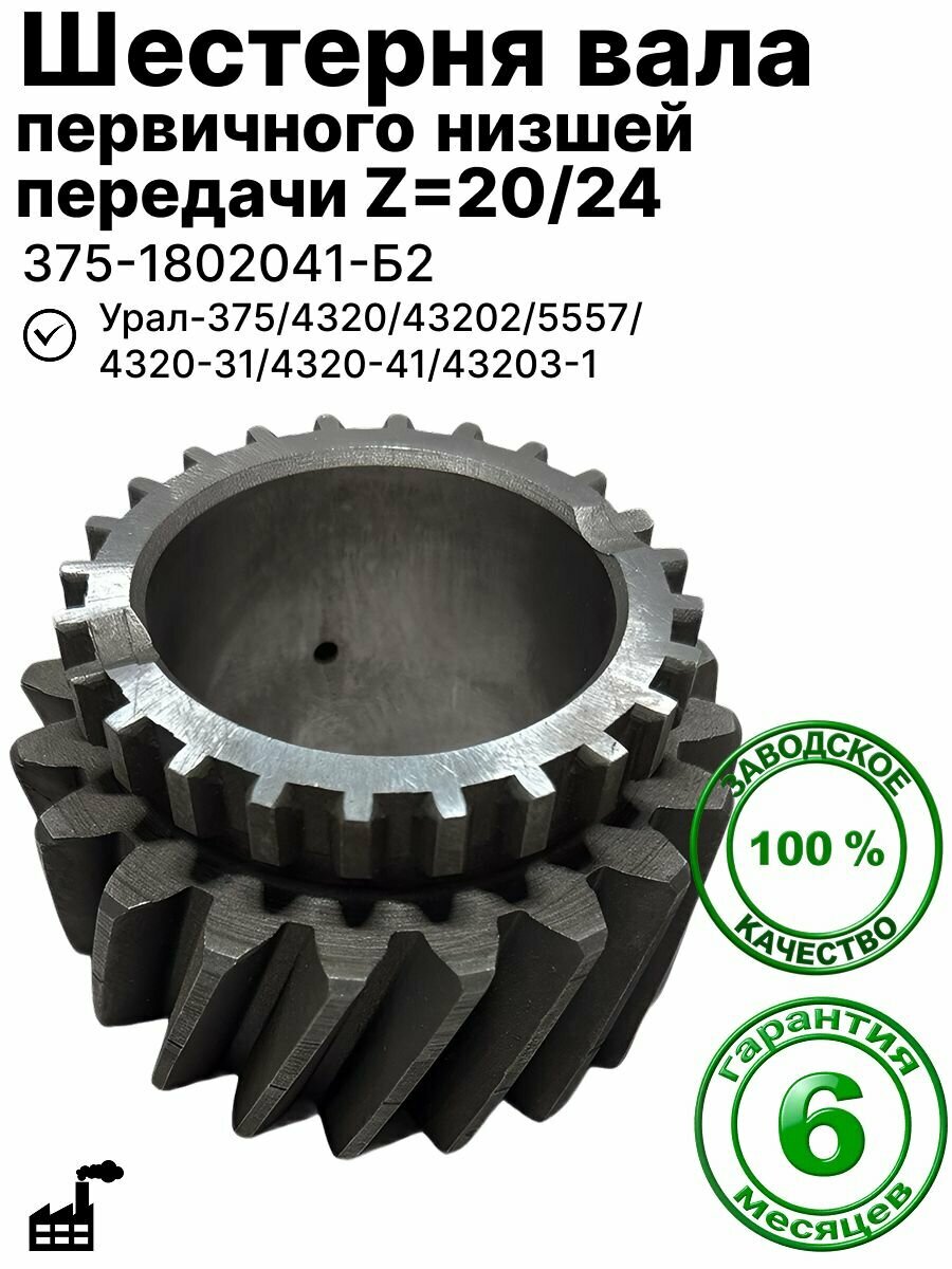 Шестерня вала первичного низшей передачи Z 20/24 на Урал-375,4320,43202,5557,4320-31,4320-41,43203-1